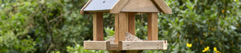 How to Choose a Bird Table - Advice – Peckish UK