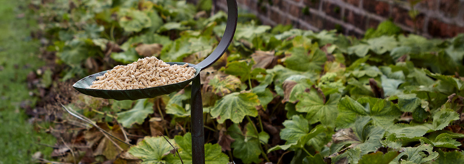 Suet Pellets & Nuggets - Bird Food – Peckish UK