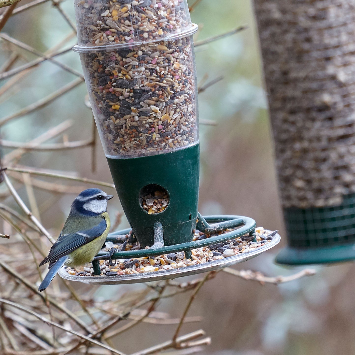 Peckish 3 Port Multi Seed Bird Feeder - Wild Bird Feeders – Peckish ...