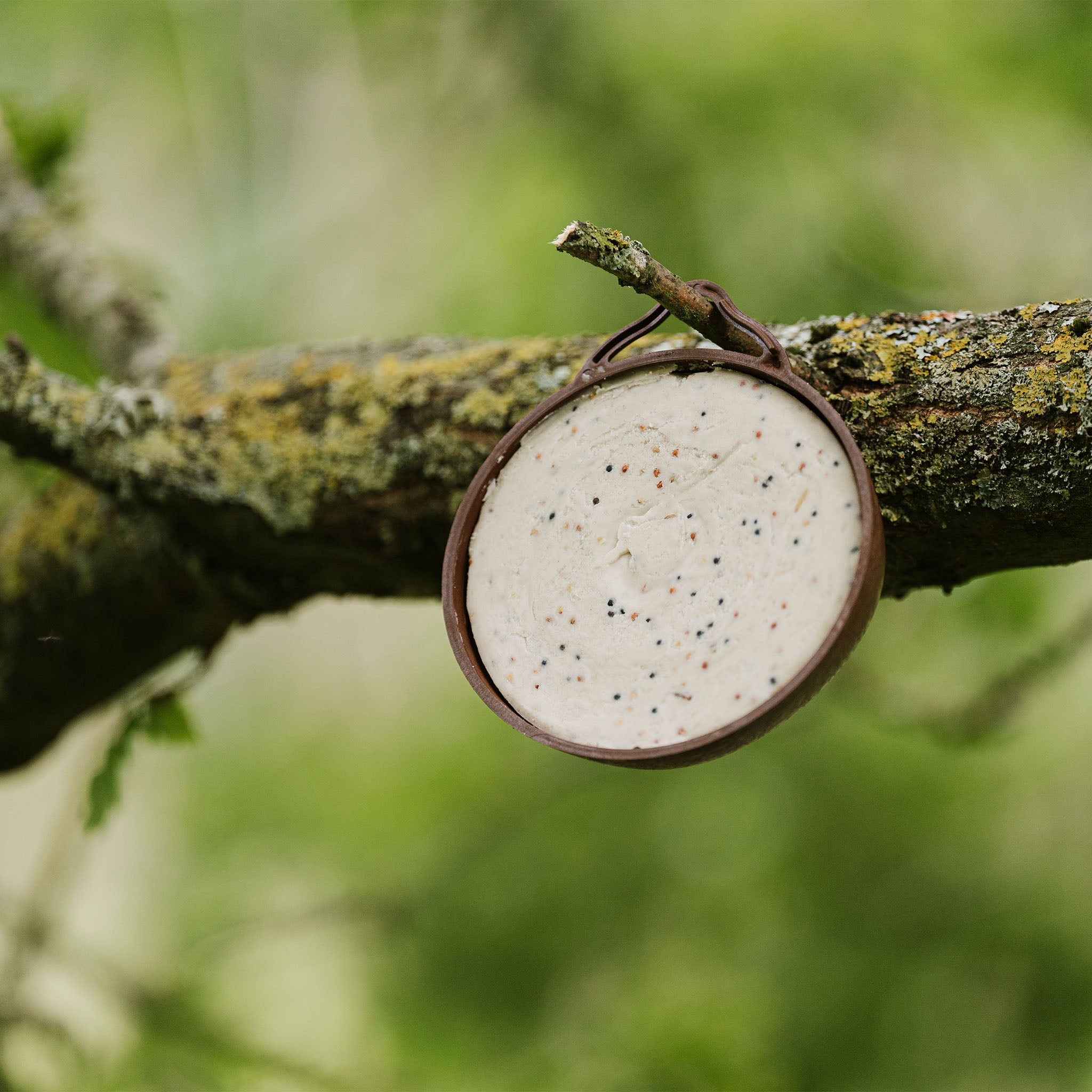 Peckish Natural Balance Coco-Not® Wild Bird Feeder - Wild Bird Food ...