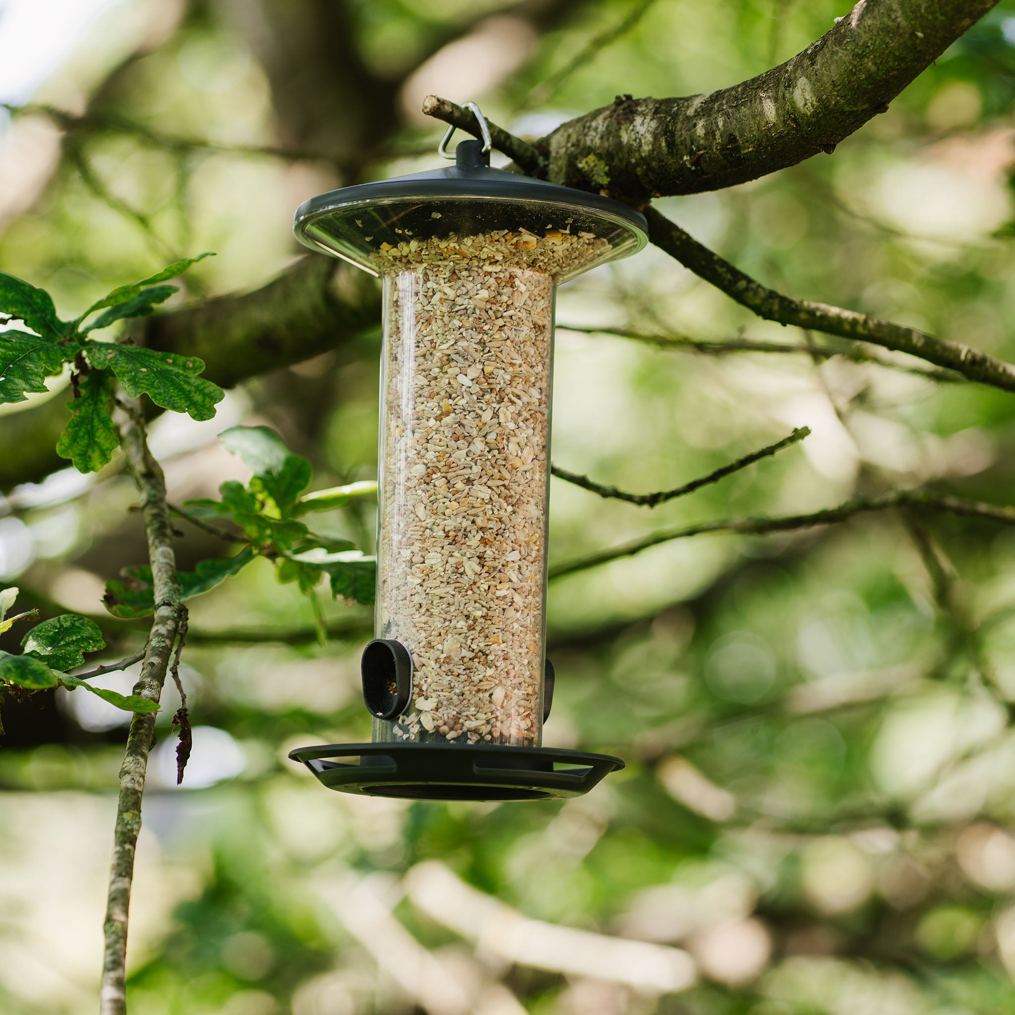 Peckish Funnel Seed Feeder - Bird Feeders – Peckish UK