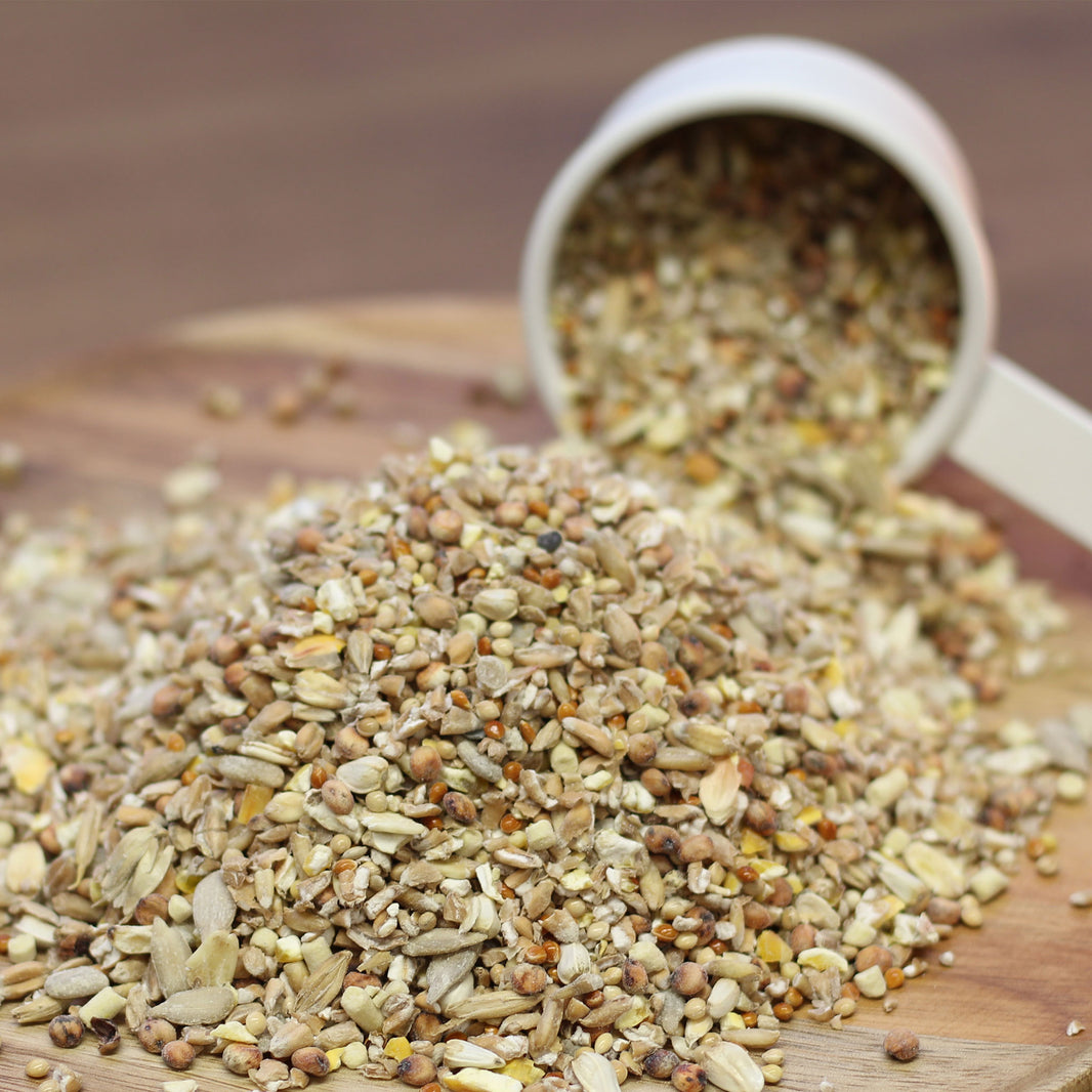 Bird Seed Mixes - Bird Food – Peckish UK