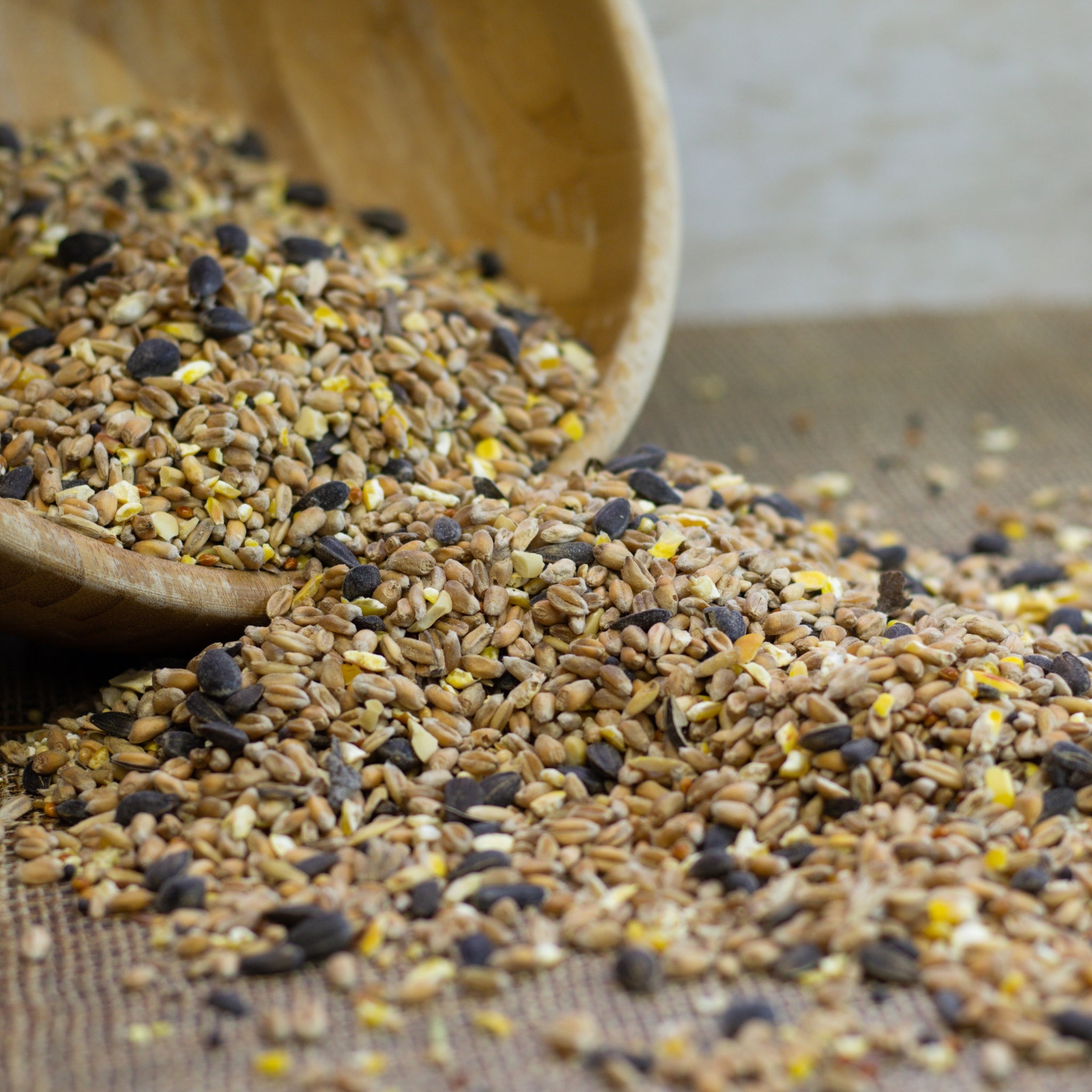 Peckish Natural Balance Seed Mix - Wild Bird Food – Peckish Bird Food