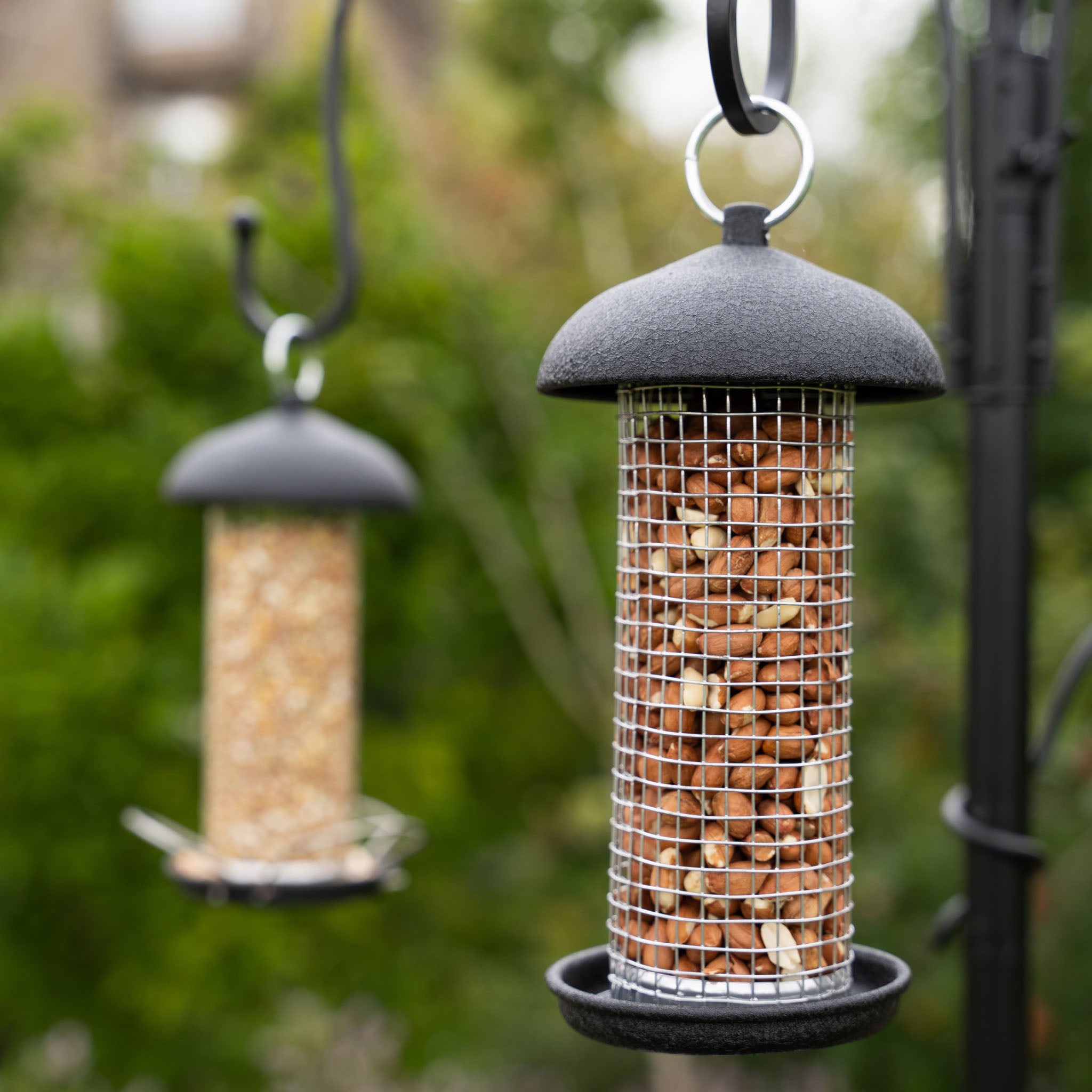 Gardman Black Steel Peanut Feeder - Wild Bird Feeders – Peckish UK