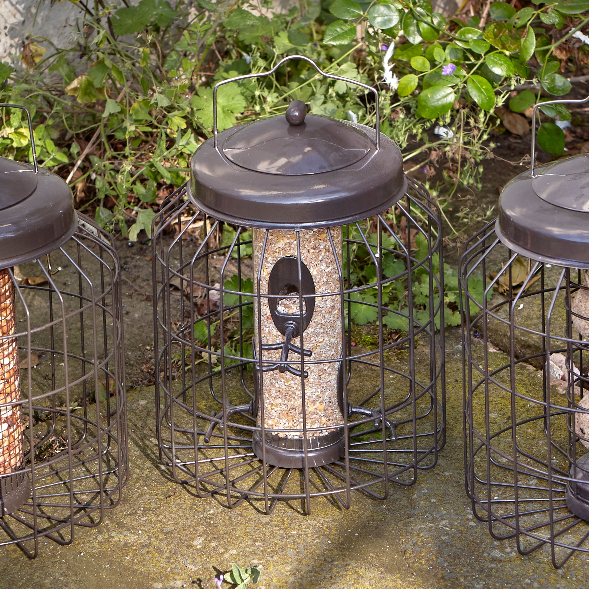 Gardman Heavy Duty Squirrel Proof Seed Feeder - Wild Bird Feeders ...